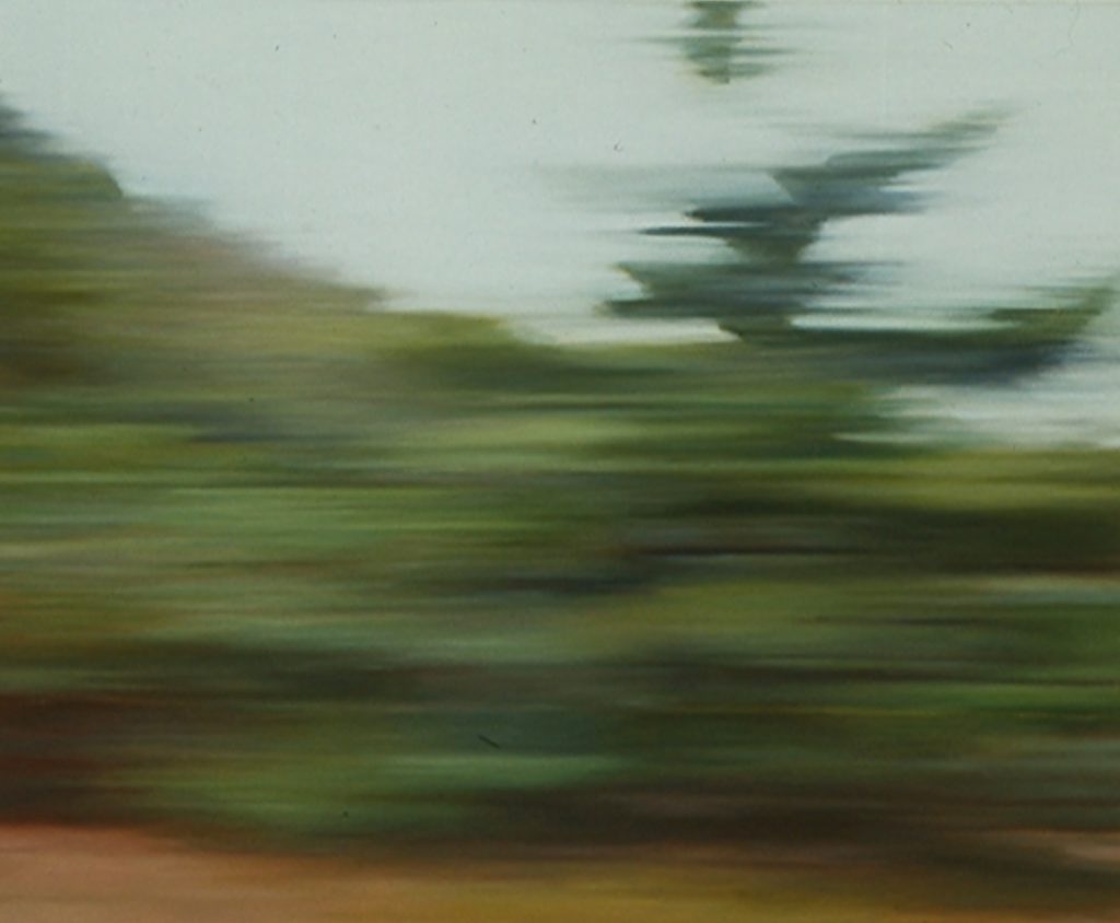 Moving Landscapes - Marie de Sousa