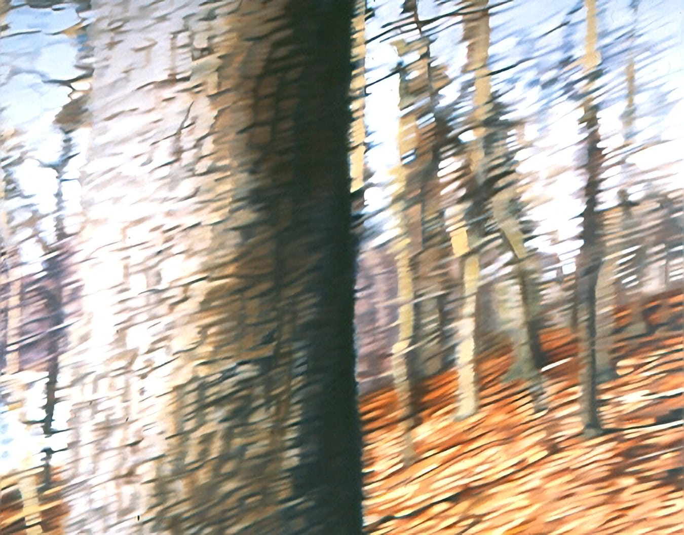 Moving Landscapes - Marie de Sousa