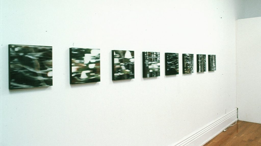 Moving Landscapes - Marie de Sousa